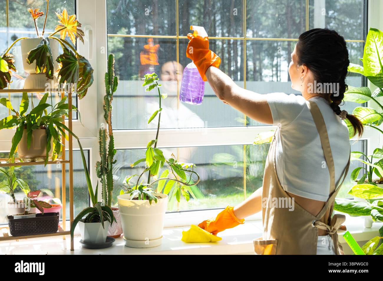 Woman in rubber gloves and apron manually washes window of house with rag cleaner and mop inside ...