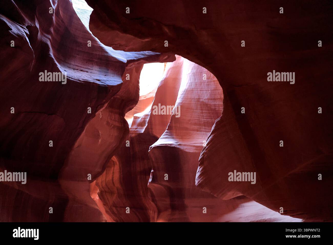Sunlight cascades through majestic hi-res stock photography and images ...