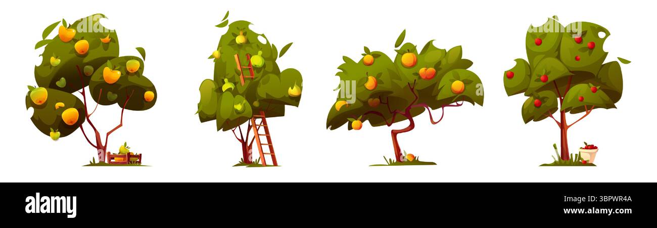 Agriculture orchard apple trees Cut Out Stock Images & Pictures - Alamy