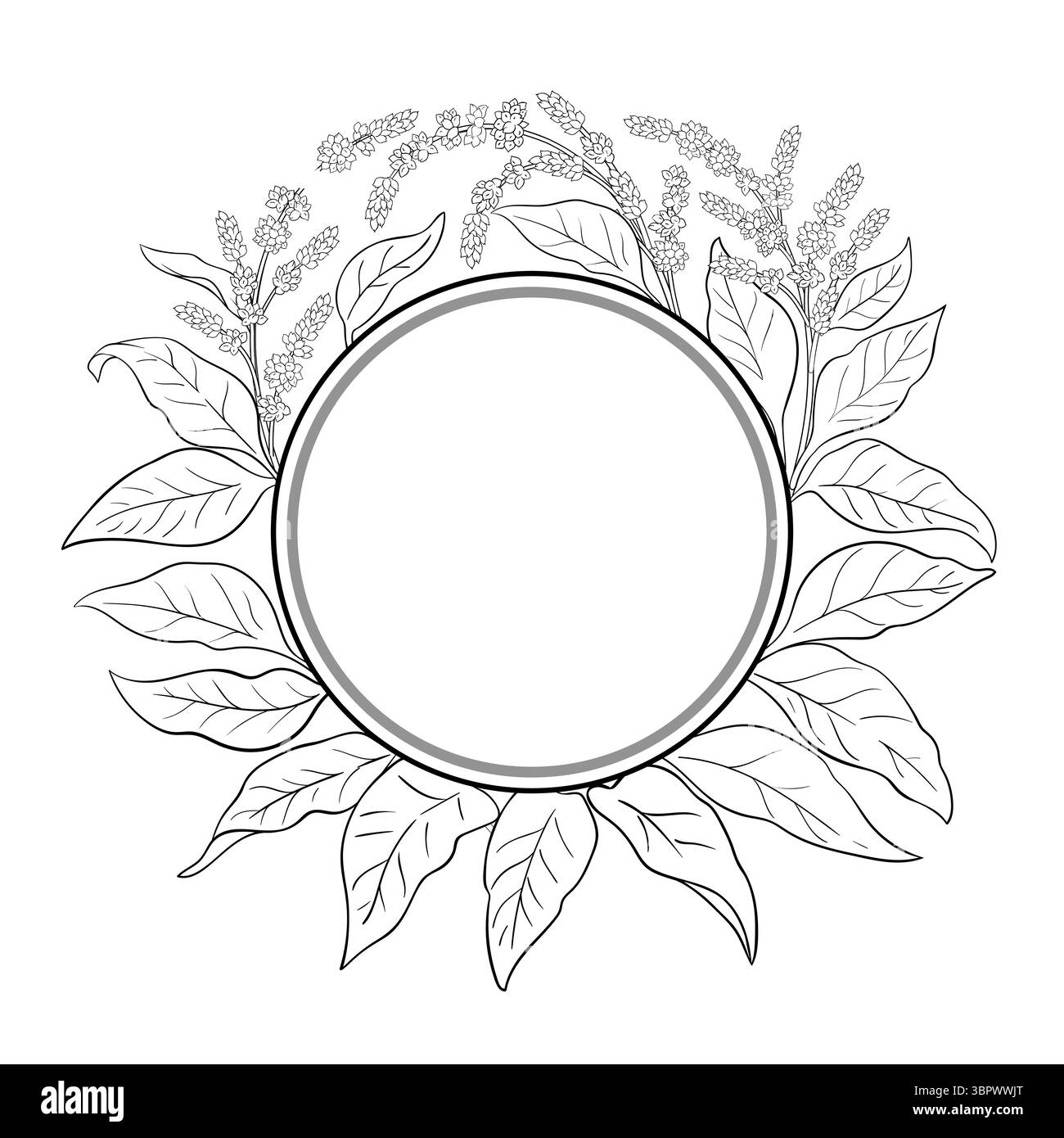 Amaranth Branch Outline Round Frame Stock Vector Image & Art - Alamy