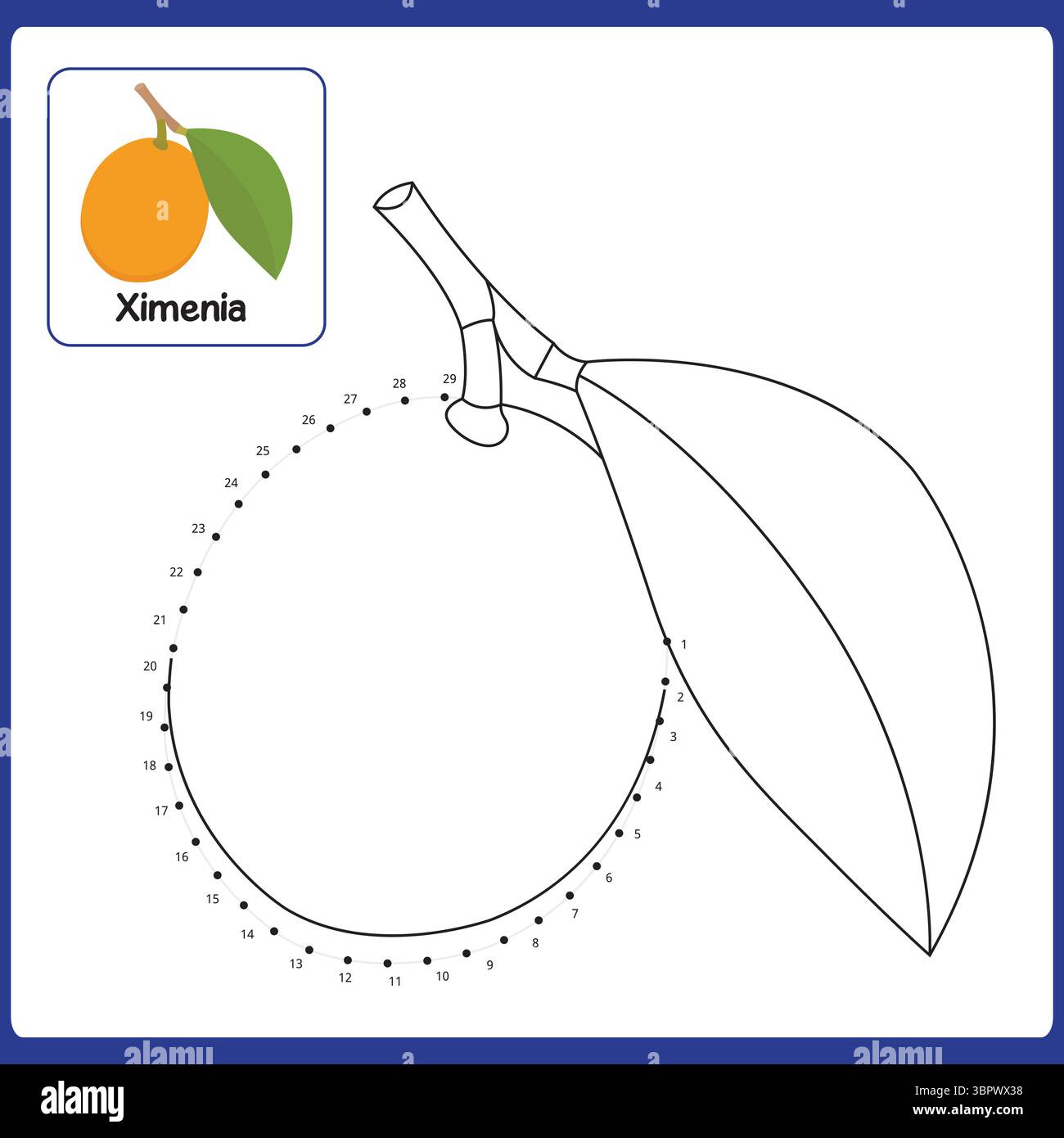 Connect The Dots Ximenia Food. Dot To Dot Educational Game. Vector ...