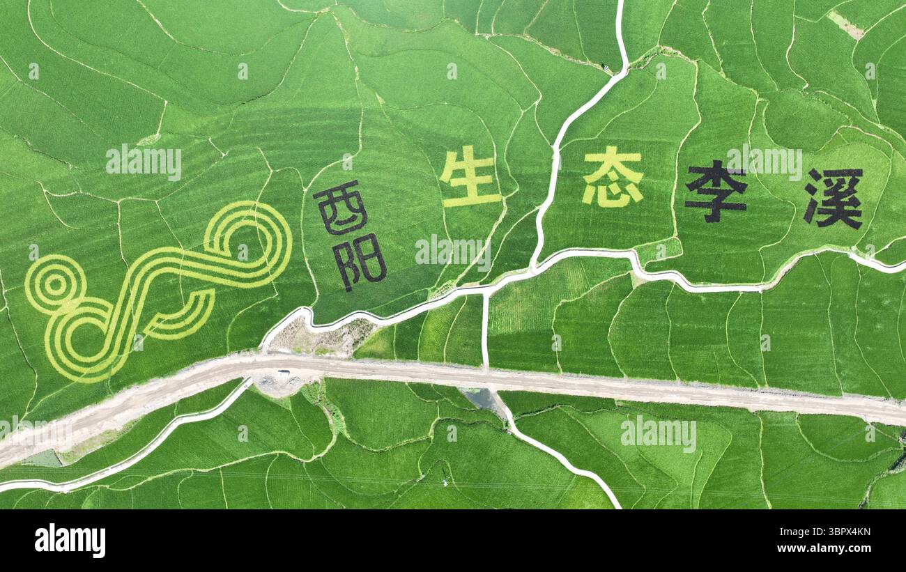Aerial photo shows the rural scenery in Chongqing, China, 7 July, 2025 ...