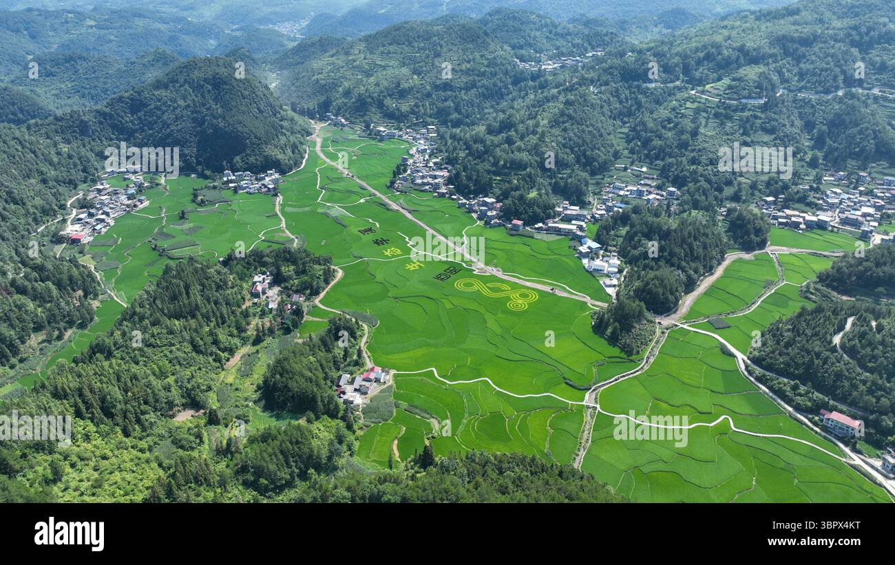 Aerial photo shows the rural scenery in Chongqing, China, 7 July, 2025 ...