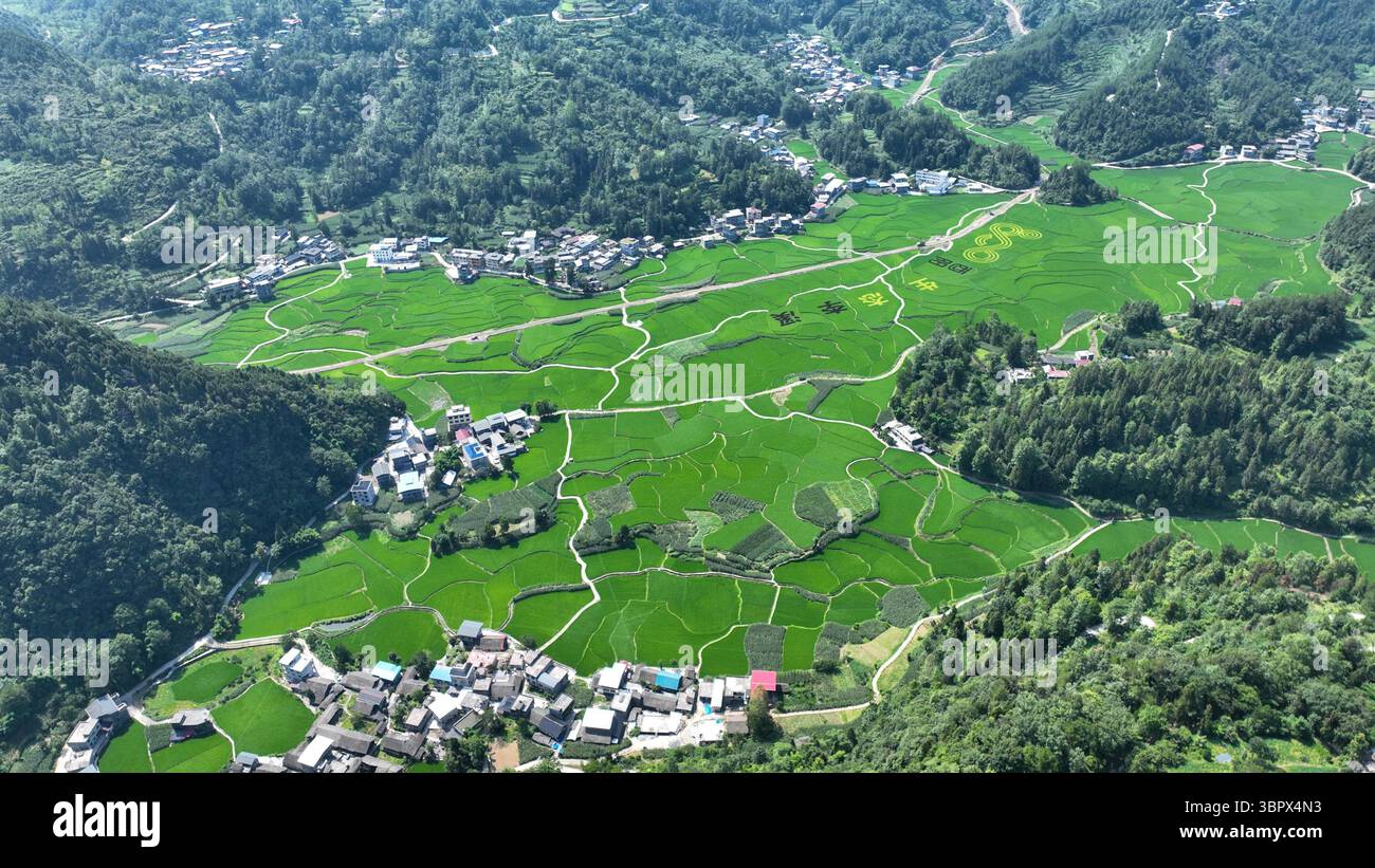 Aerial photo shows the rural scenery in Chongqing, China, 7 July, 2025 ...