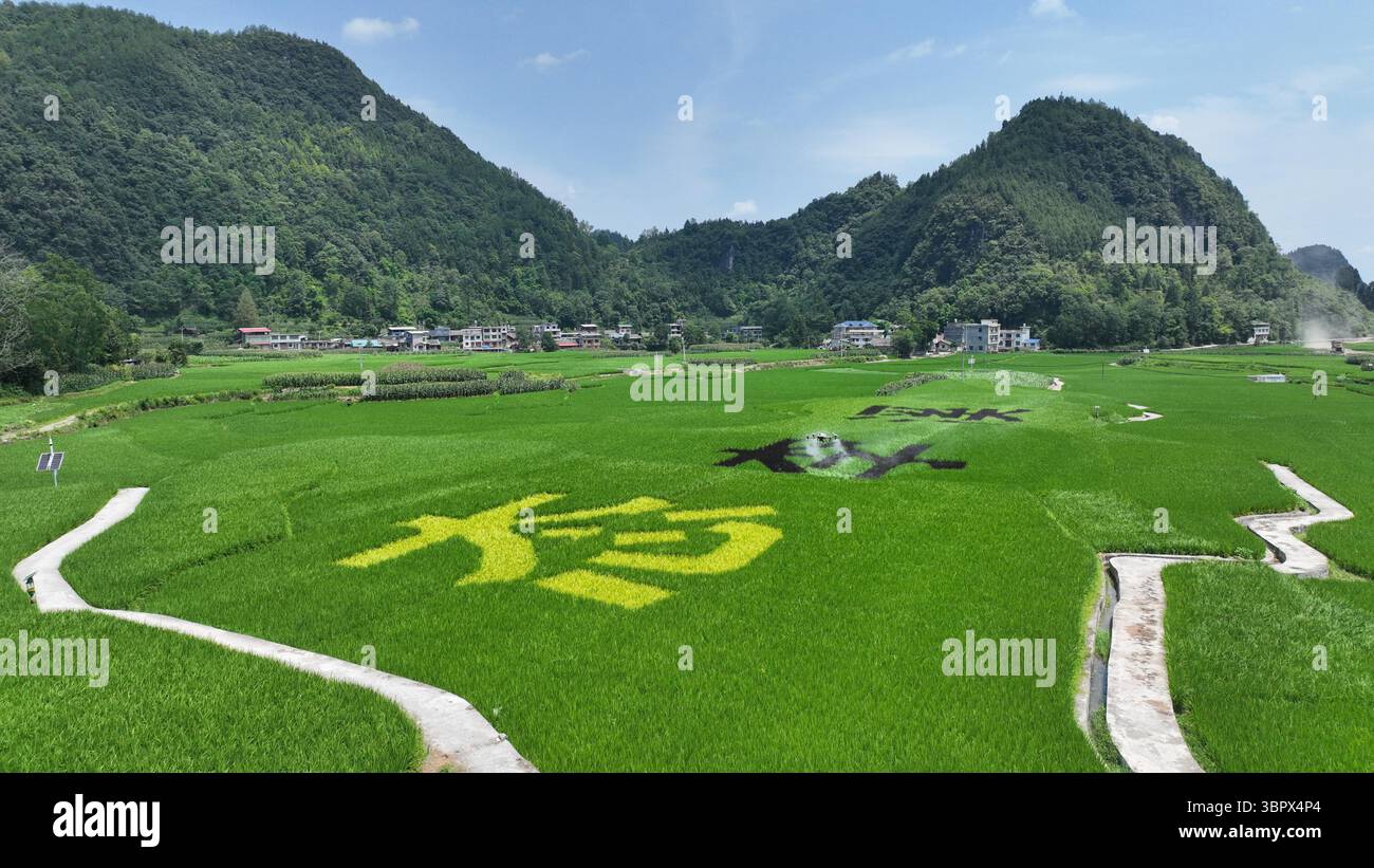 Aerial photo shows the rural scenery in Chongqing, China, 7 July, 2025 ...
