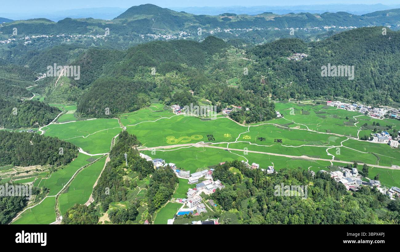 Aerial photo shows the rural scenery in Chongqing, China, 7 July, 2025 ...