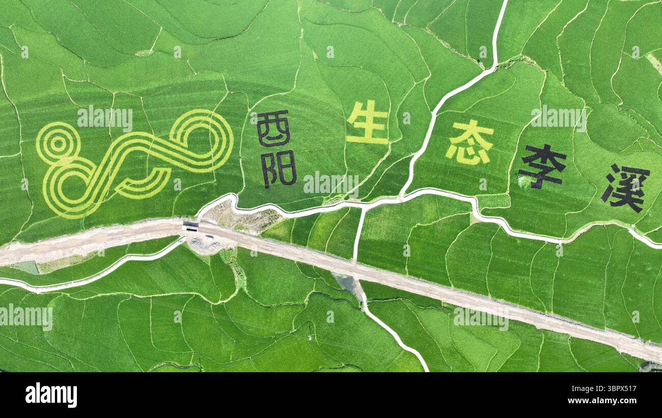 Aerial photo shows the rural scenery in Chongqing, China, 7 July, 2025 ...