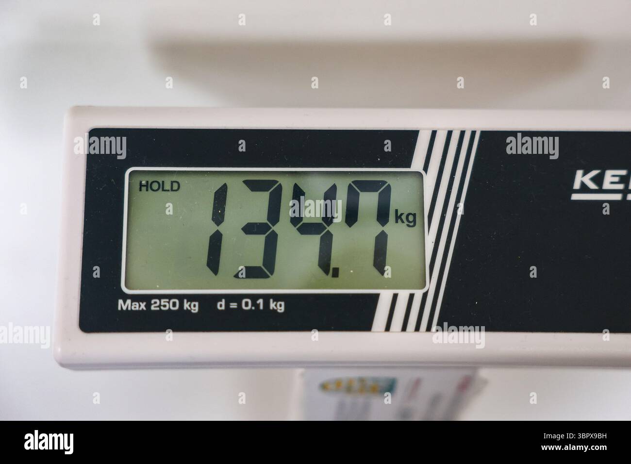 Morbidly obese woman hi-res stock photography and images - Alamy