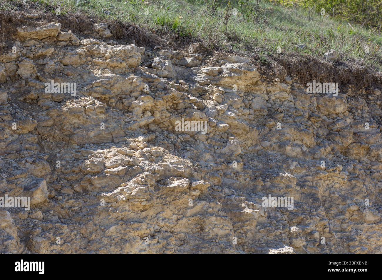 An exposed limestone cliff with visible sedimentary layers and rugged ...