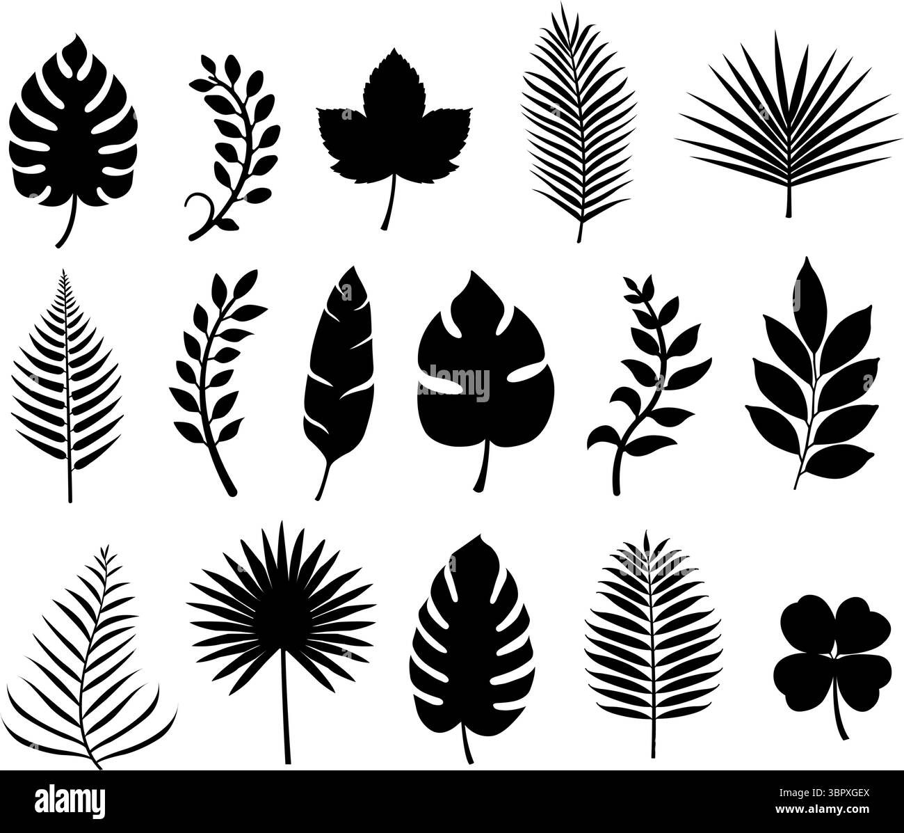 Summer tropical plant leaf silhouette illustration set Stock Vector ...