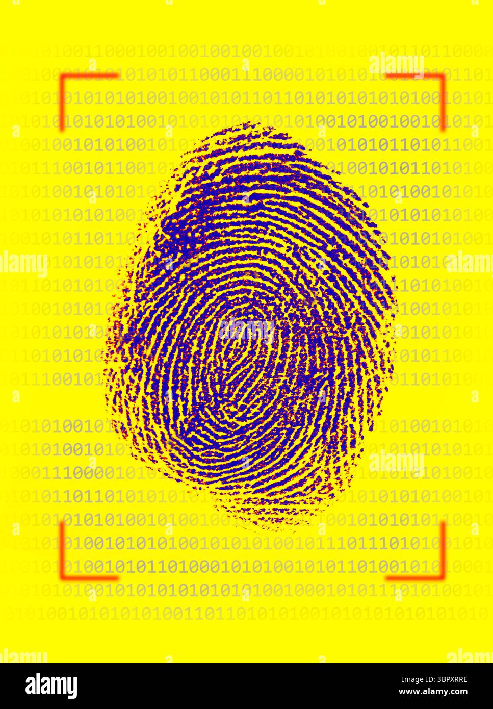Fingerprint against yellow background with binary numbers Stock Photo ...
