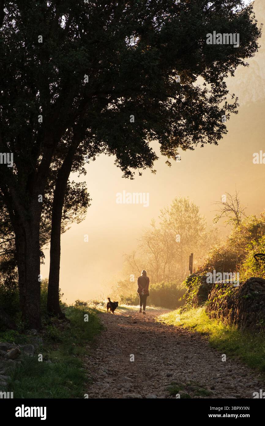 Atmospheric romantic misty landscape with path, person and dog, looking ...