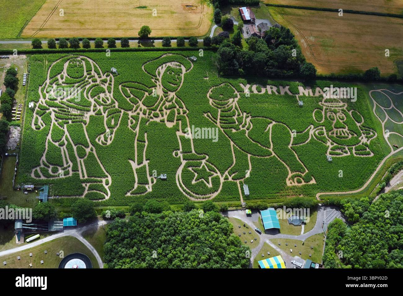 An aerial view of this year's York Maze which is celebrating 30 years ...