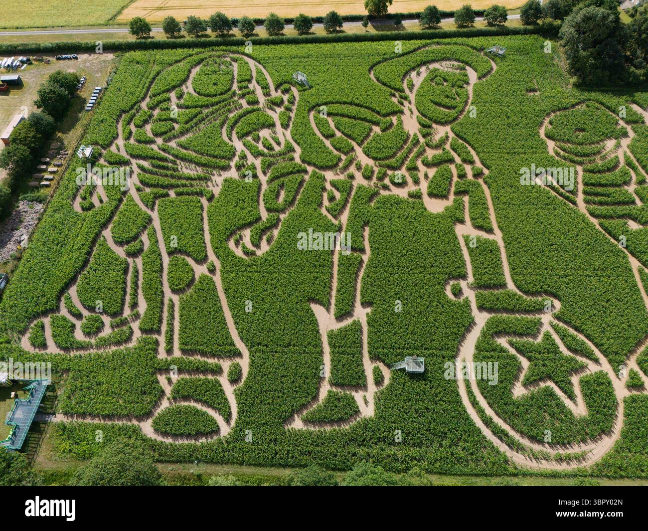 An aerial view of this year's York Maze which is celebrating 30 years ...