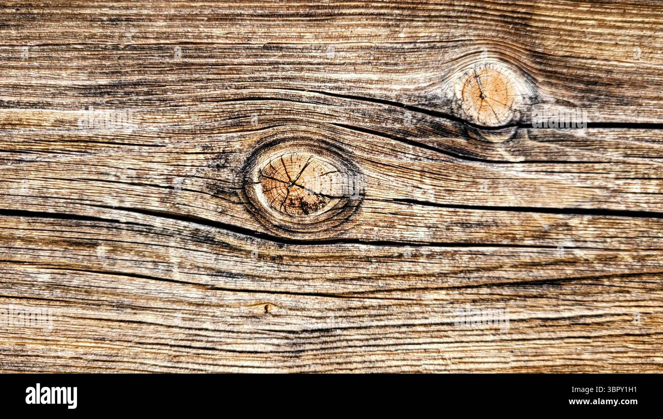 natural wood background with wood structures and wood fibers with ...