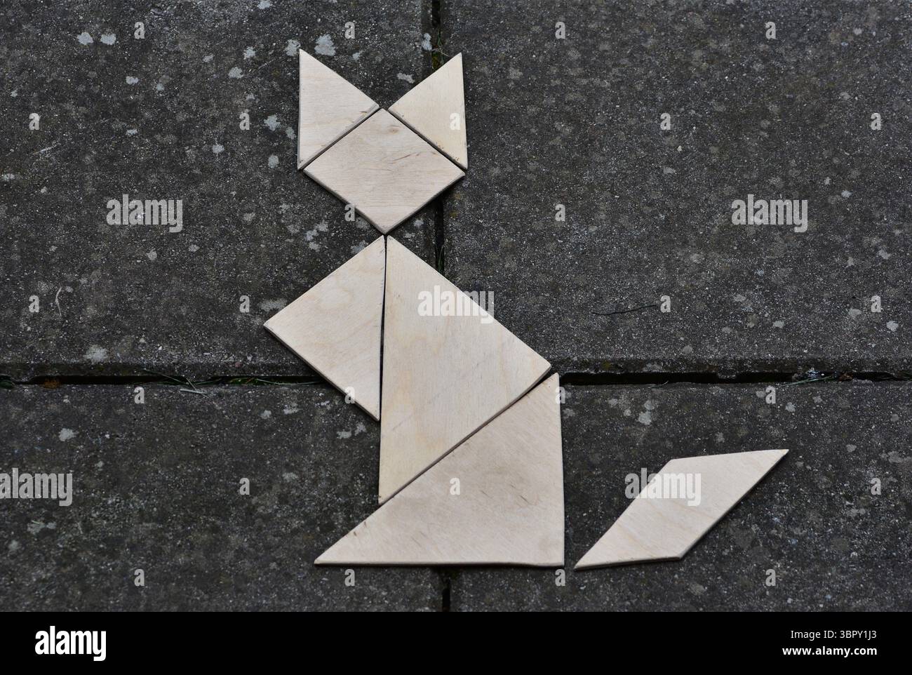 Creative wooden tangram puzzle pieces arranged as a cat shape on dark ...
