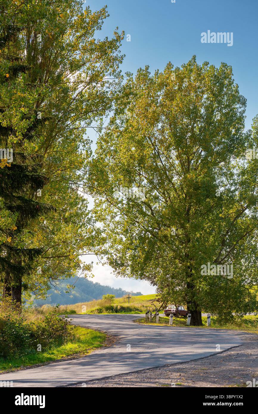 Winding road among forest hi-res stock photography and images - Alamy
