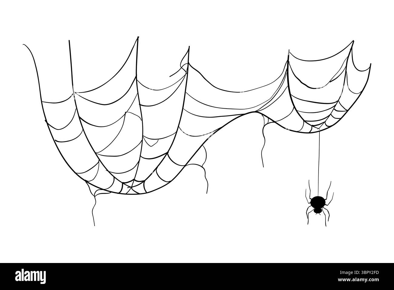 Cute and spooky spiderweb for Halloween. Hand-drawn cobweb textures ...