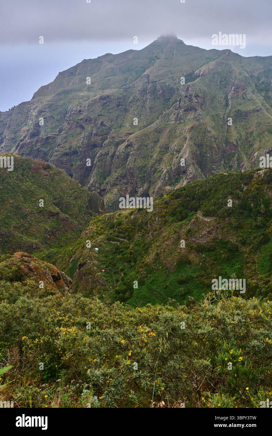 Steep ravines and volcanic cliffs descending toward the ocean in the ...