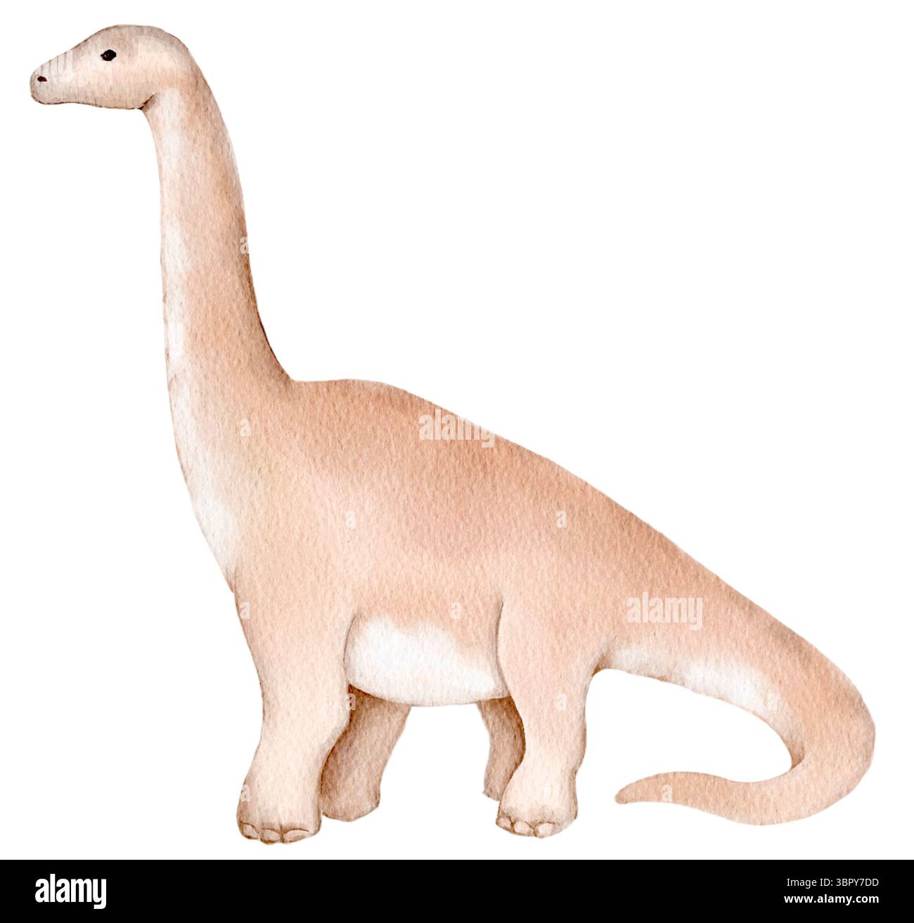 Child room animal decor Cut Out Stock Images & Pictures - Alamy