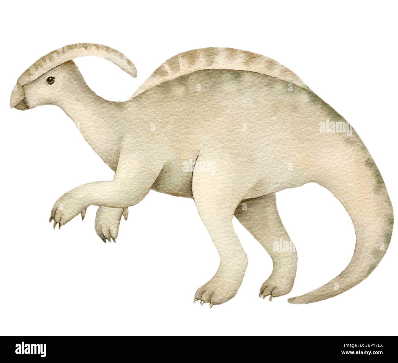 Watercolor illustration of a parasaurolophus dinosaur on white ...