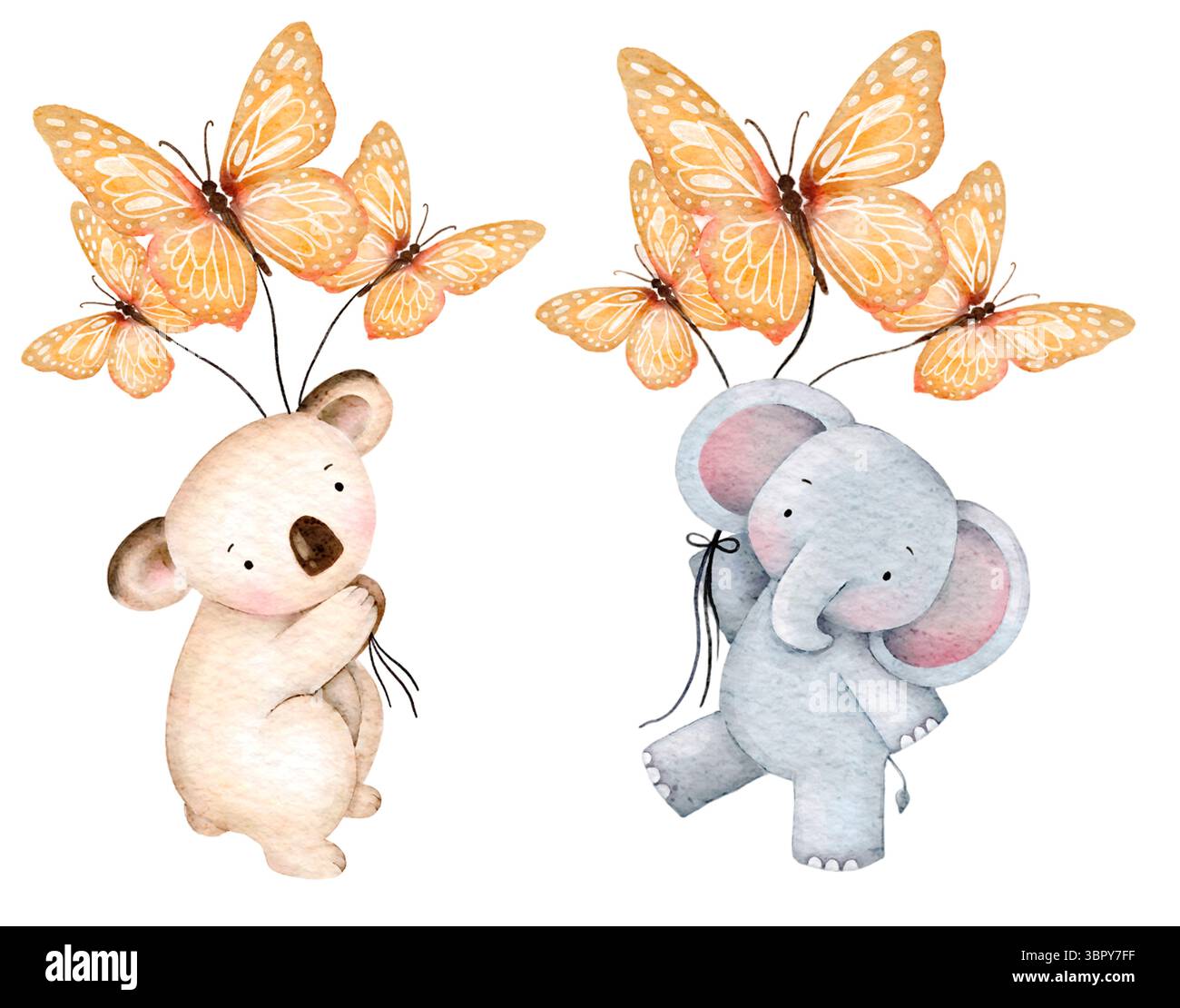 Koala print Cut Out Stock Images & Pictures - Alamy