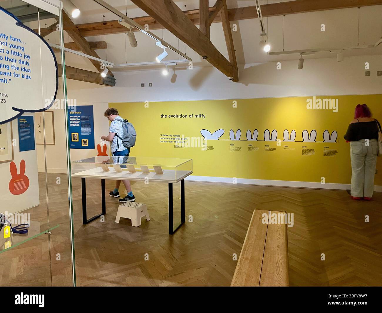 an exhibition at leeds city museum to celebrate the 70th birthday of ...