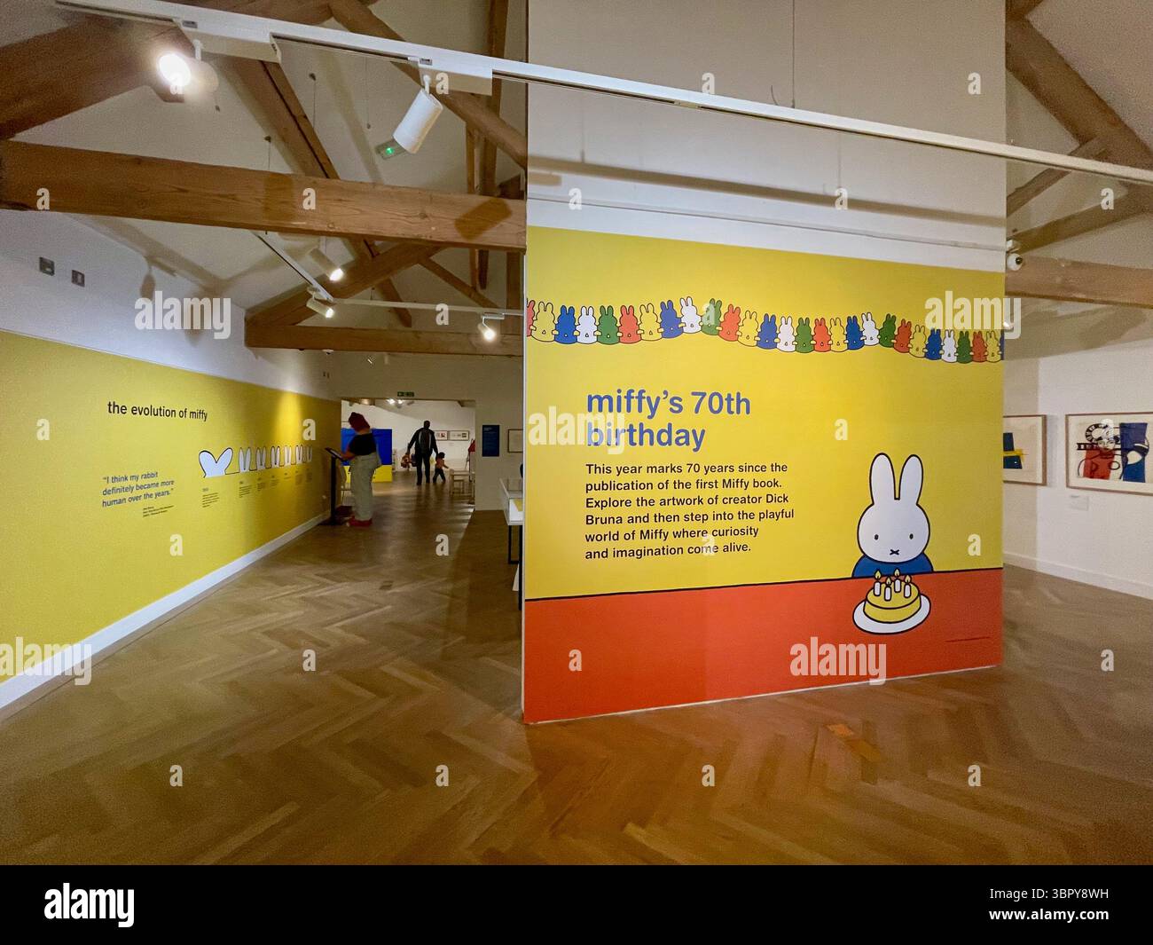 an exhibition at leeds city museum to celebrate the 70th birthday of ...