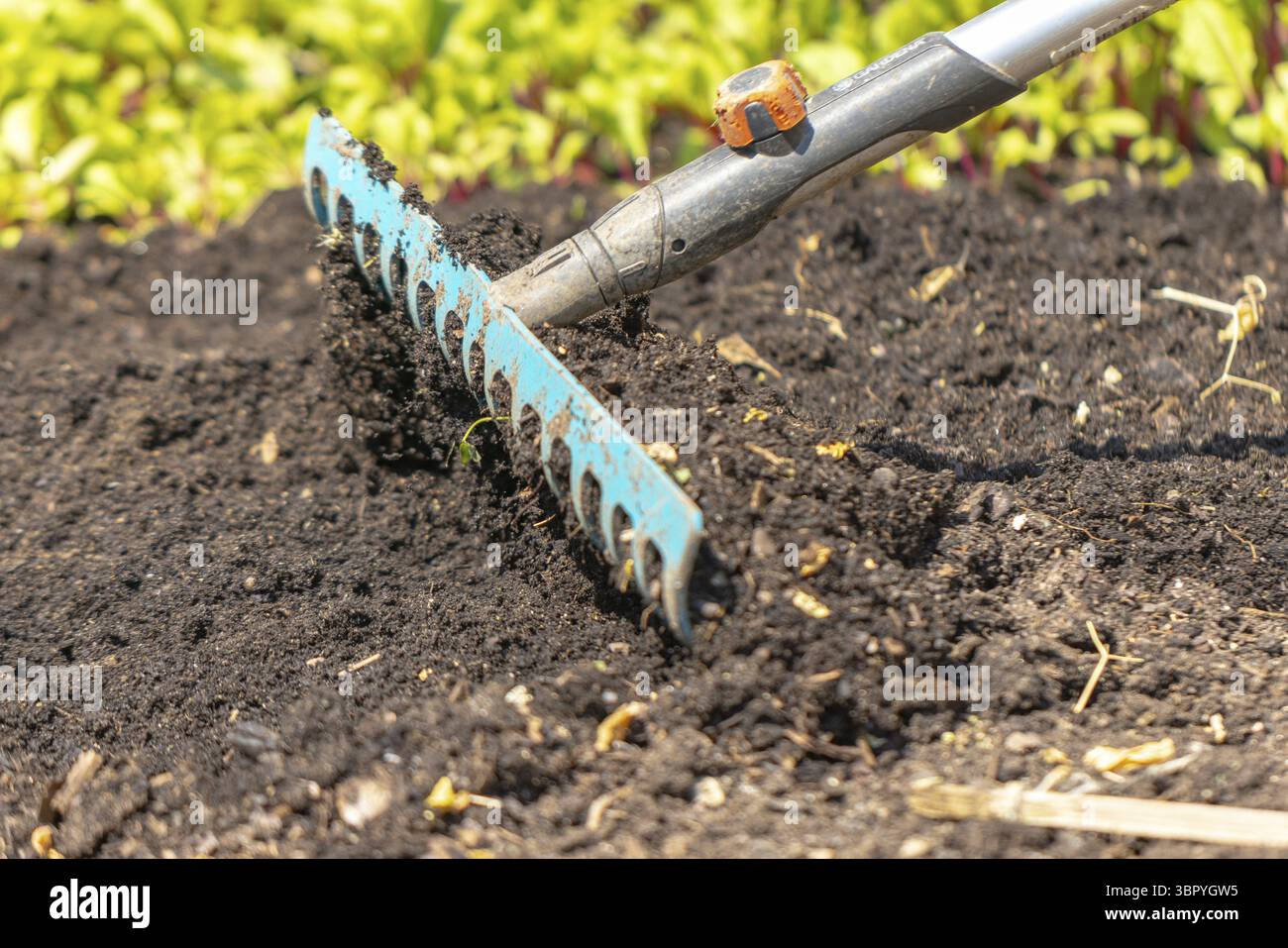 Rake rakes hi-res stock photography and images - Alamy