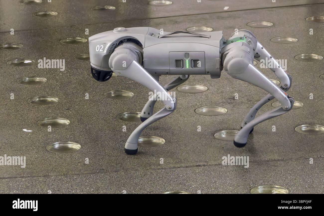 Unitree Go2 Pro high-performance robot dog in the Arenas de Barcelona ...
