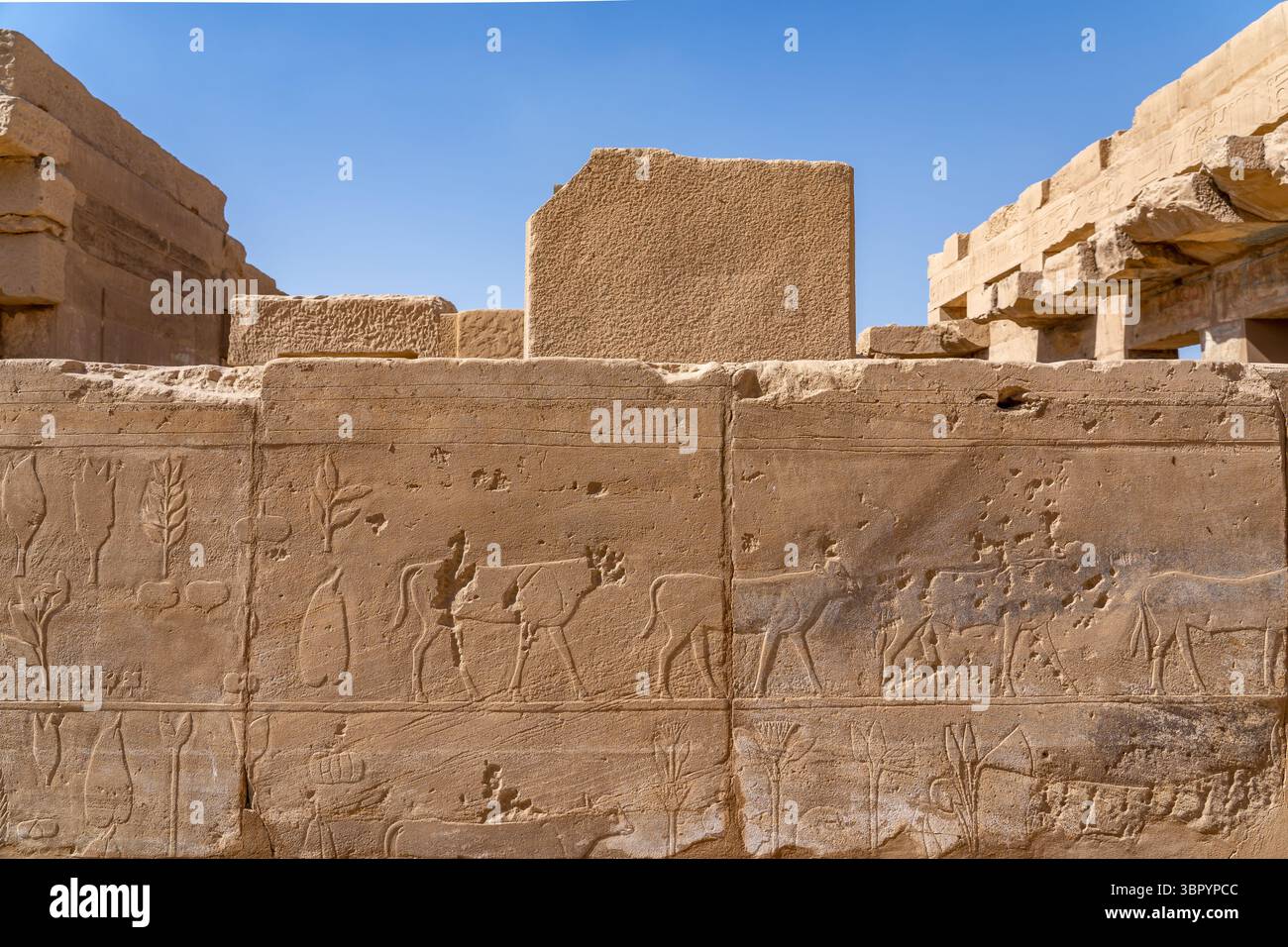 The Akh Menu or the ‘Botanical Garden’ of Thutmose III. Karnak Temple ...