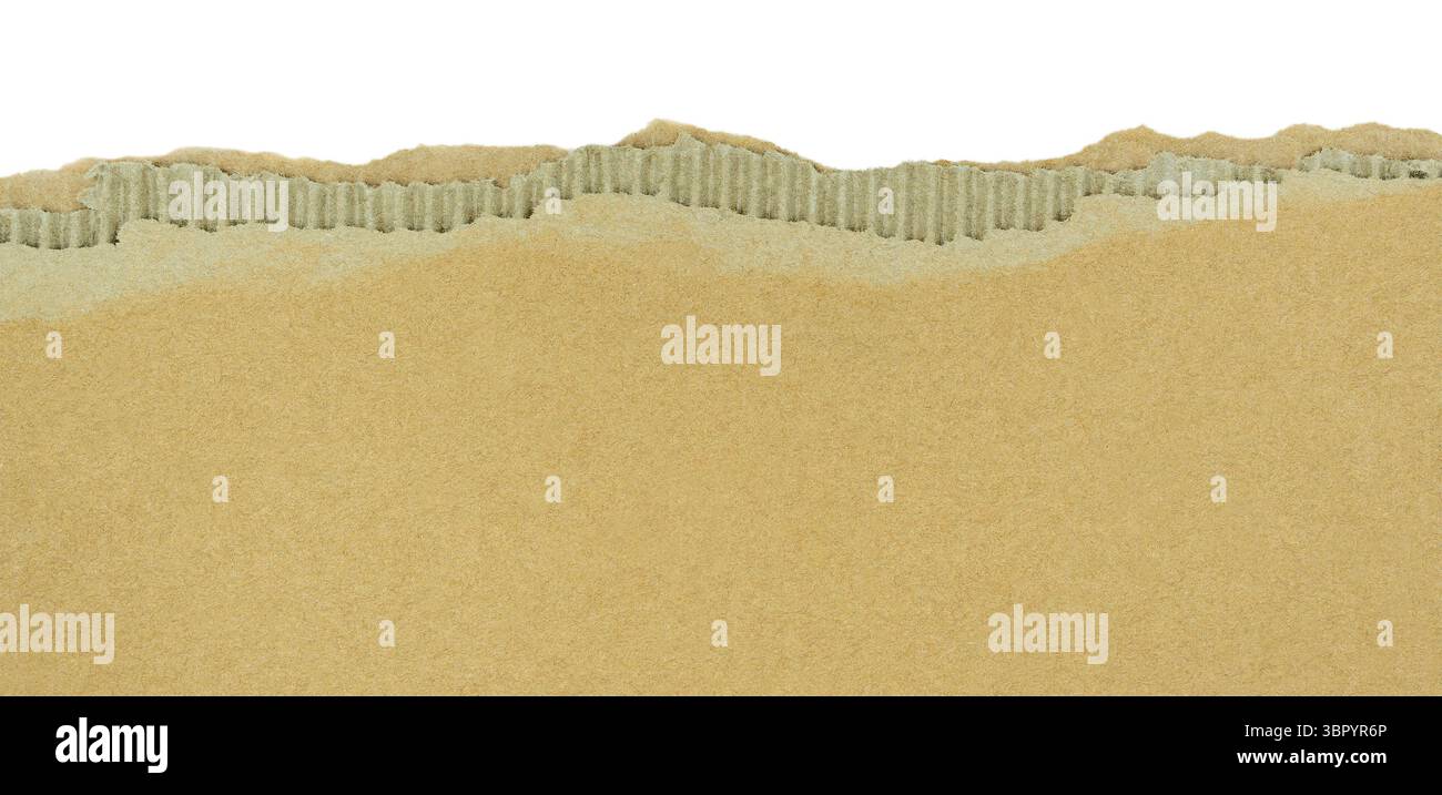 Torn corrugated cardboard paper edge isolated on transparent background ...