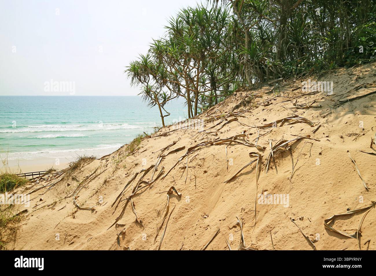 The coastal sandy hill called Grand Sand Dune in Chumphon province, a ...