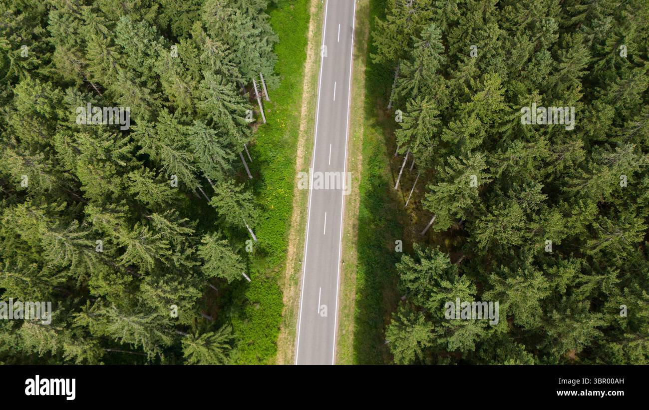 Road through forest, aerial view, travel through evergreen conifer ...