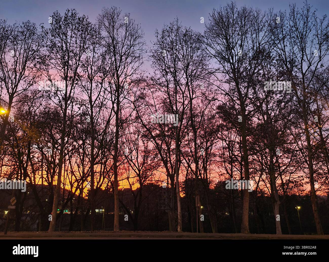 Turin's Valentino Park is famous for its castles, views of the Po river ...
