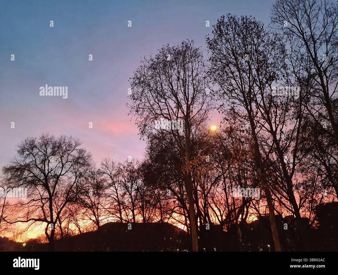 Turin's Valentino Park is famous for its castles, views of the Po river ...