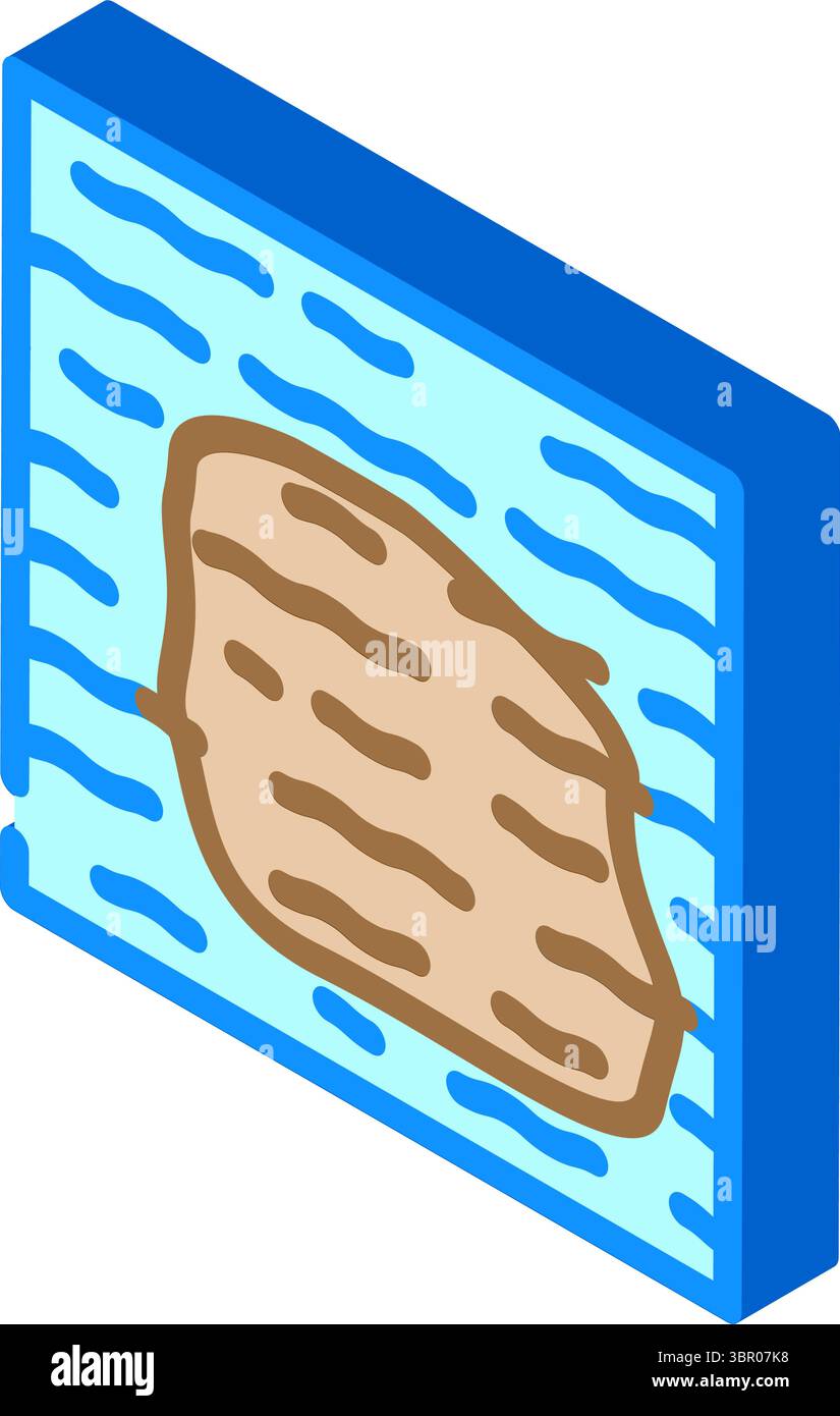 slick ocean surface isometric icon vector illustration Stock Vector ...