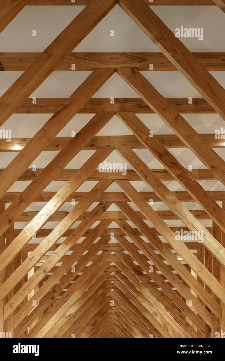Worm's eye view of a complex wooden truss roof structure. The geometric pattern of timber beams ...
