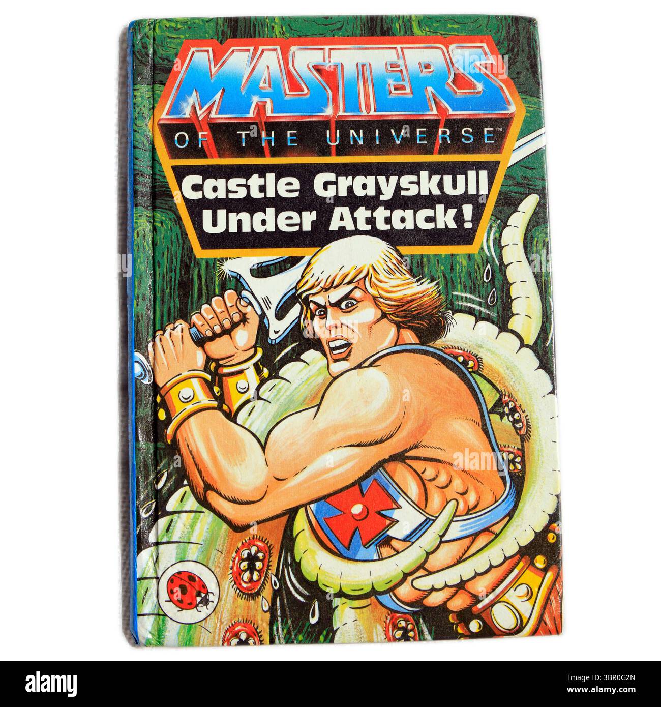 He man and the masters of the universe hi-res stock photography and ...