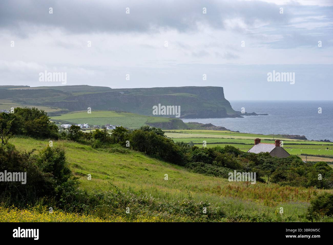View along the Antrim coast near Dunseverick, County Antrim, Northern ...