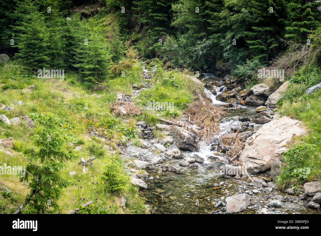 Transfagarasan Fagaras pass in summer. Crossing Carpathian mountains in ...