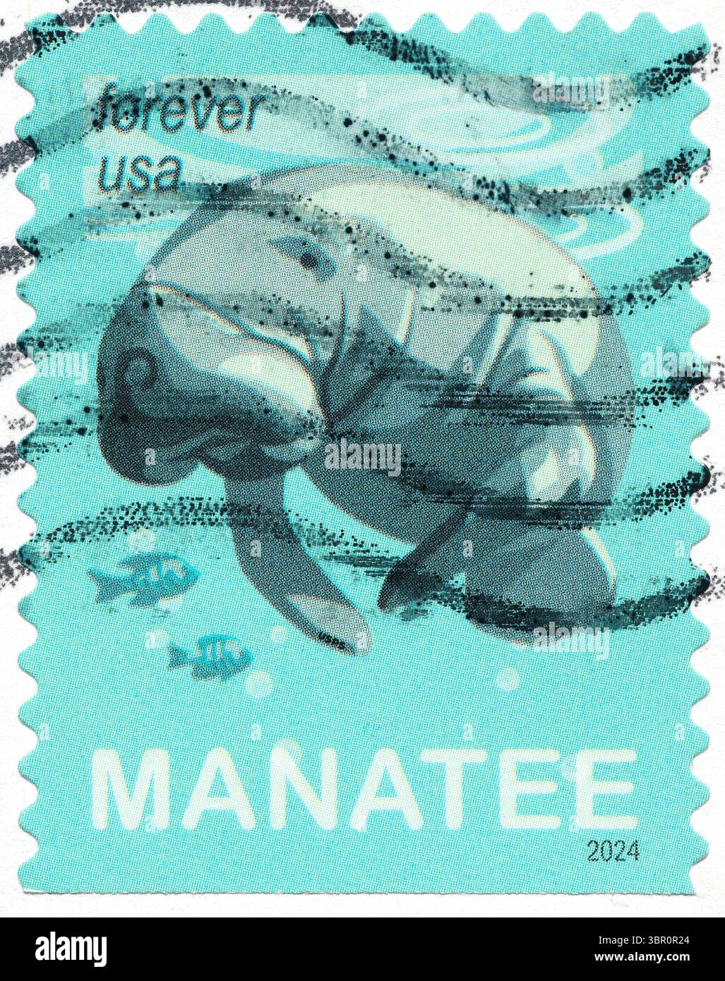 American marine hi-res stock photography and images - Alamy
