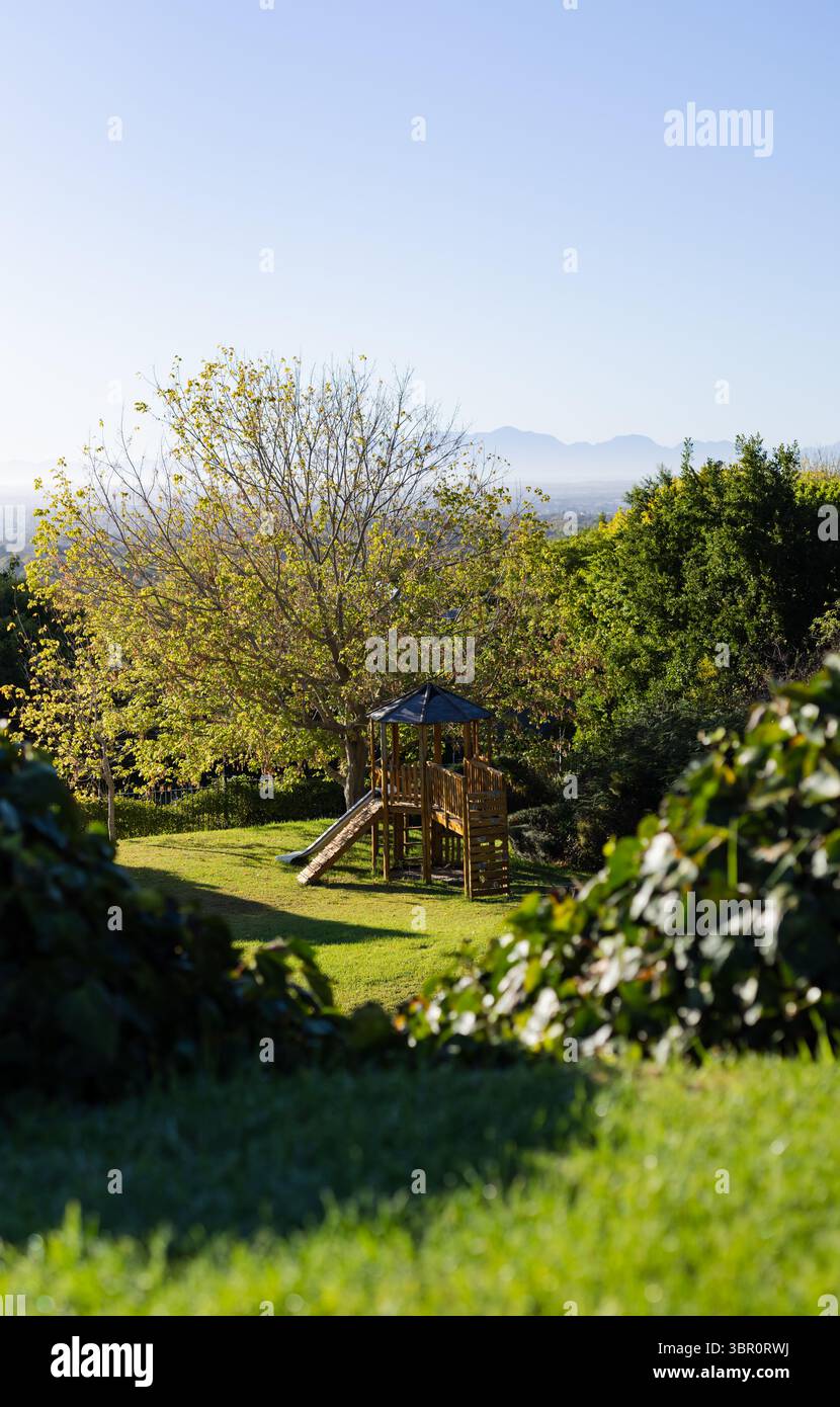 Wooden playset featuring slide and ladder is standing on sloping grassy ...