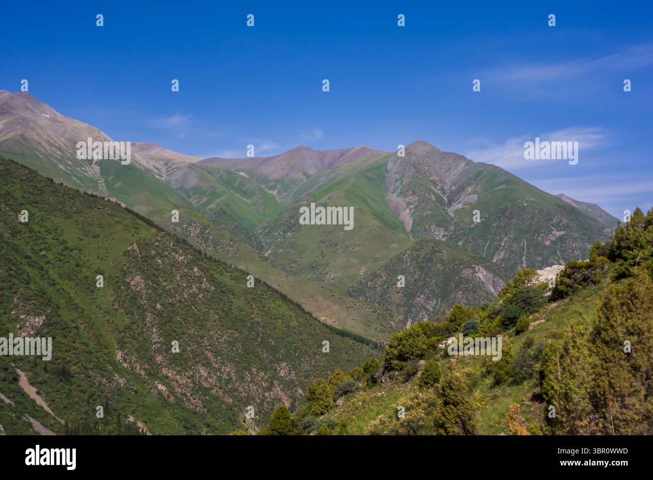 Inside the stunning Ala Archa National Park near Bishkek, Kyrgyzstan Stock Photo - Alamy