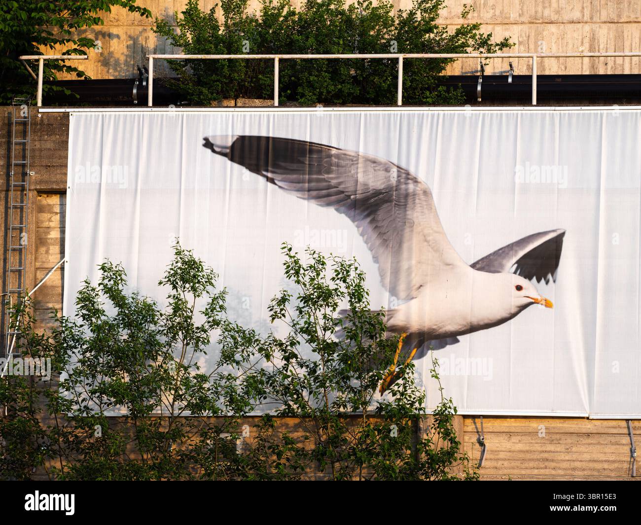 Stockholm, Sweden - June 3, 2025: A large outdoor banner displays a ...