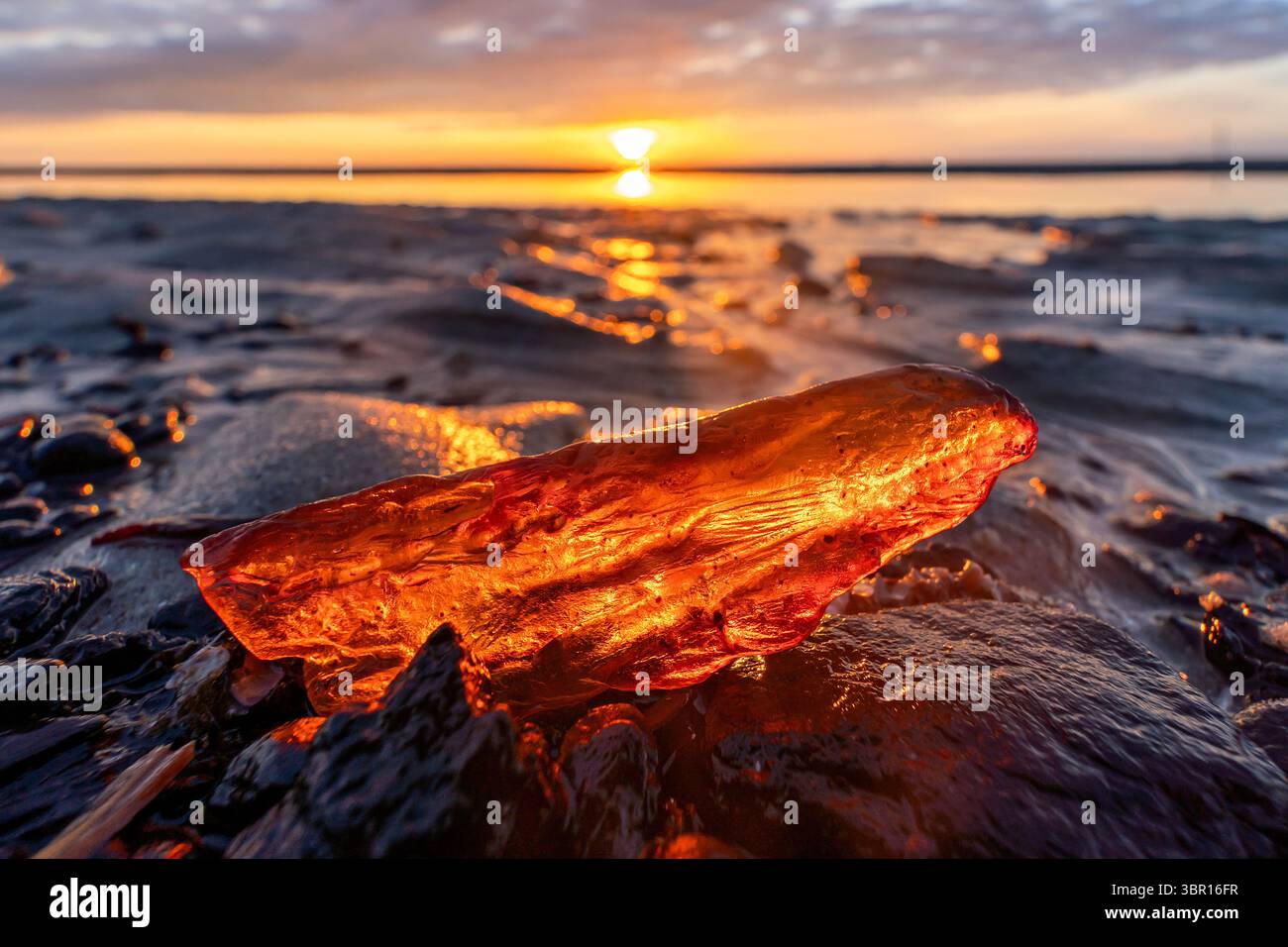 Intertidal mudflats sea hi-res stock photography and images - Alamy