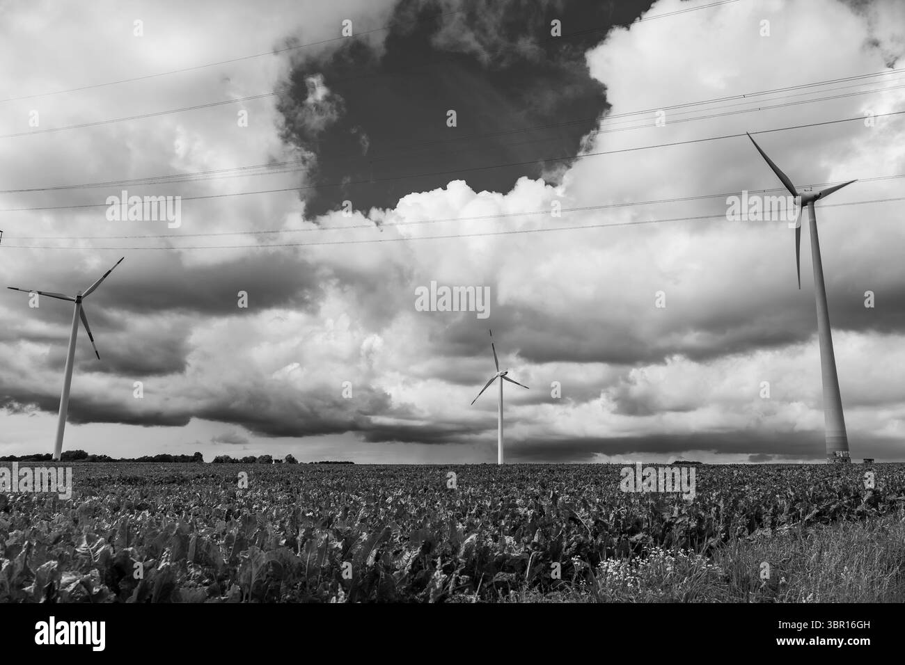 Wind und Black and White Stock Photos & Images - Alamy