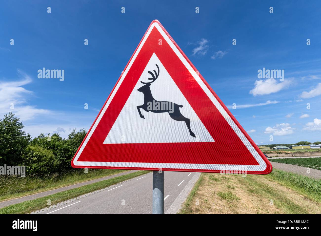 Dutch road sign: wild animals crossing Stock Photo - Alamy