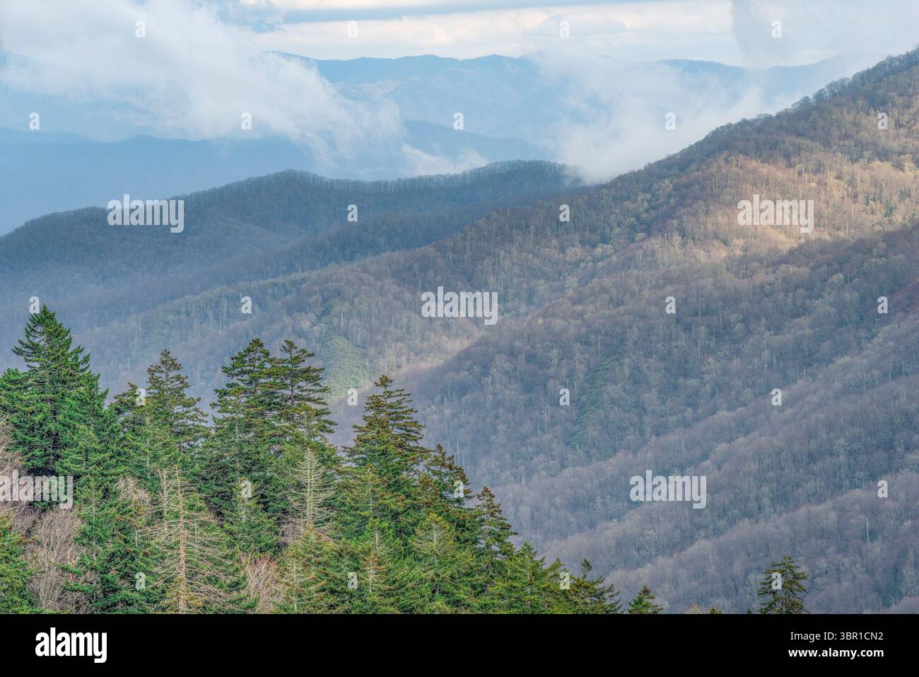 Newfound Gap, Smoky Mountains National Park, North Carolina/Tennessee ...