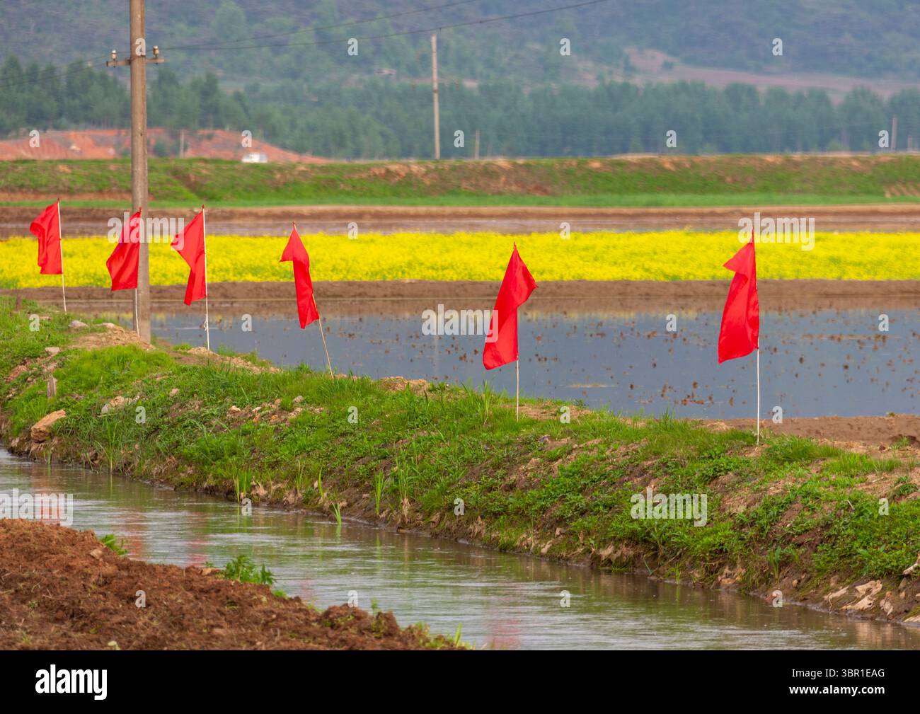 Red flags in a paddy field, South Pyongan, Nampo, North Korea Stock ...